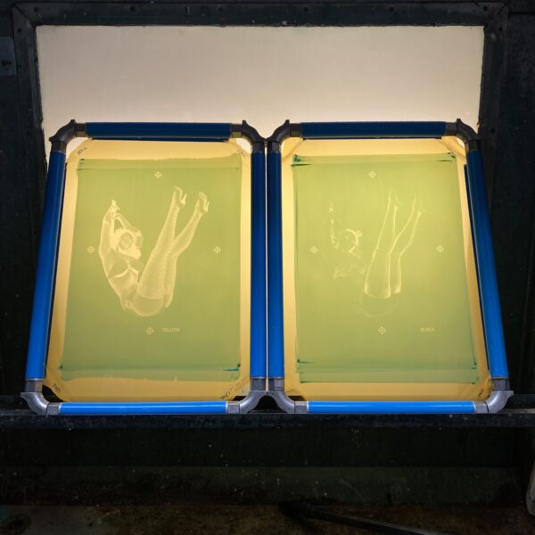 What Is Screen Printing? A Step-By-Step Guide (With Pictures)